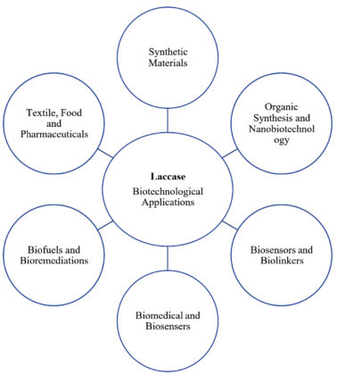 Recent Advancements in Biotechnological Applications of Laccase as a Multifunctional Enzyme ...