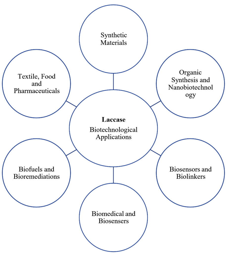 Recent Advancements in Biotechnological Applications of Laccase as a ...