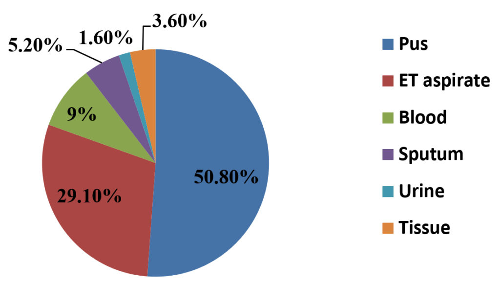 Clinical and Antimicrobial profile of Acinetobacter Species at a ...