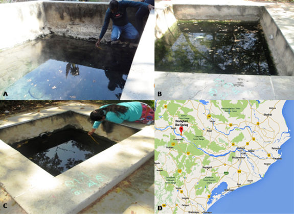 Shift in Microbial Community Structure with Temperature in Deulajhari ...