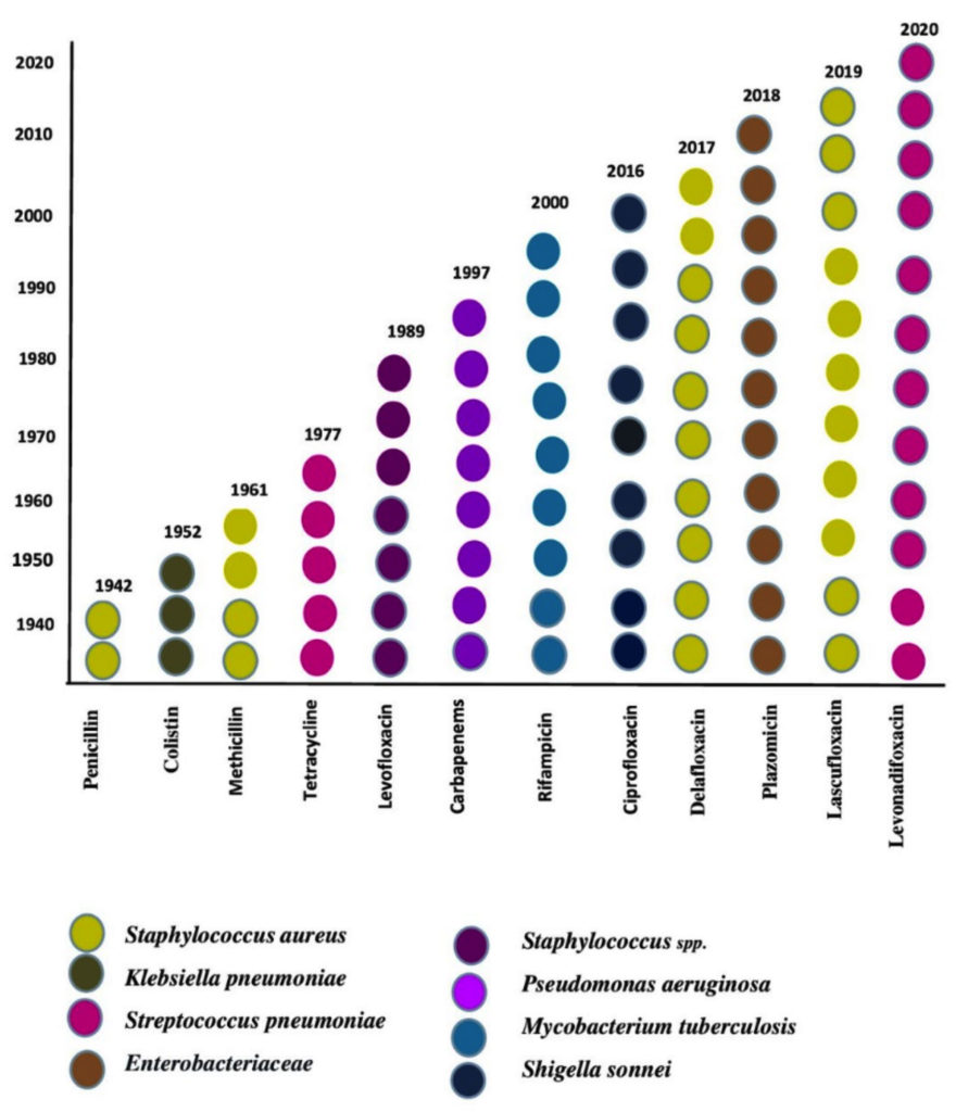 Combating Antibiotic Resistance in Bacteria: The Development of Novel ...