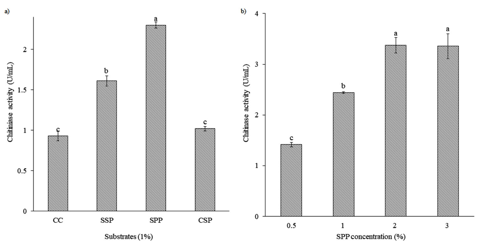 Antifungal Chitinase Production by Bacillus paramycoides B26 using ...