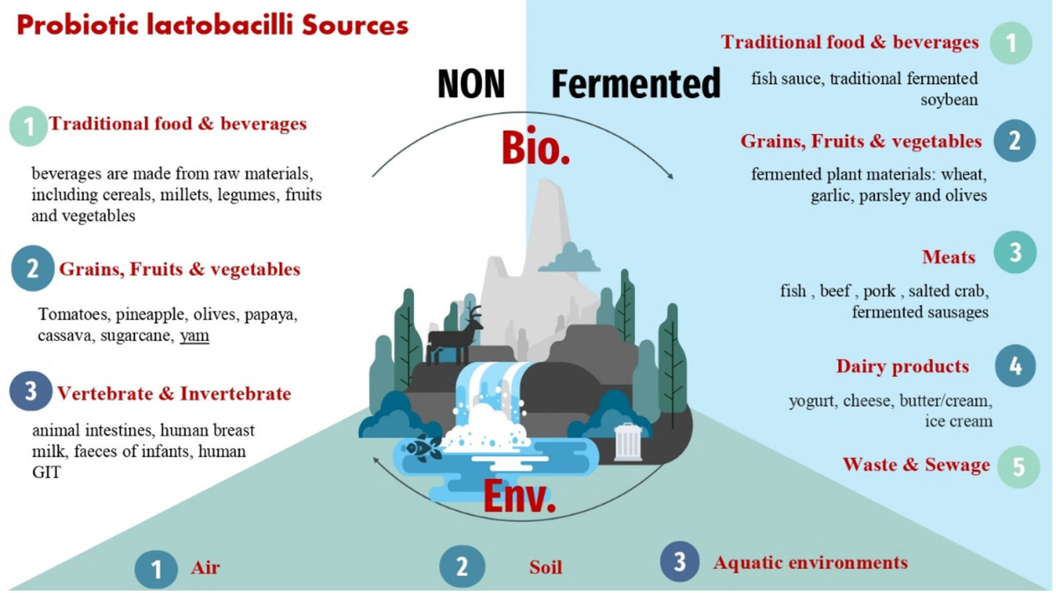 Lactobacillus Species as Probiotics: Isolation Sources and Health ...