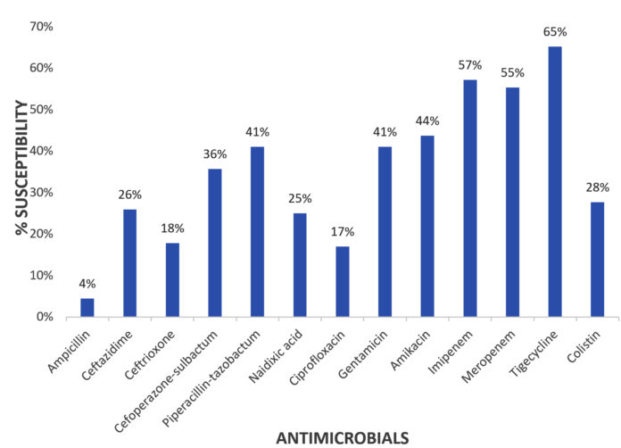 Bacteriological Profile and their Antibiotic Susceptibility Pattern in ...