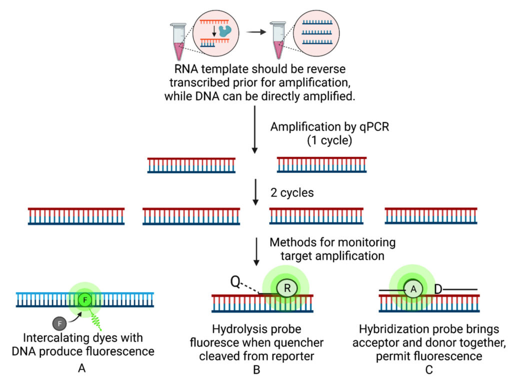 An Overview of Laboratory Diagnosis of Central Nervous System Viral ...