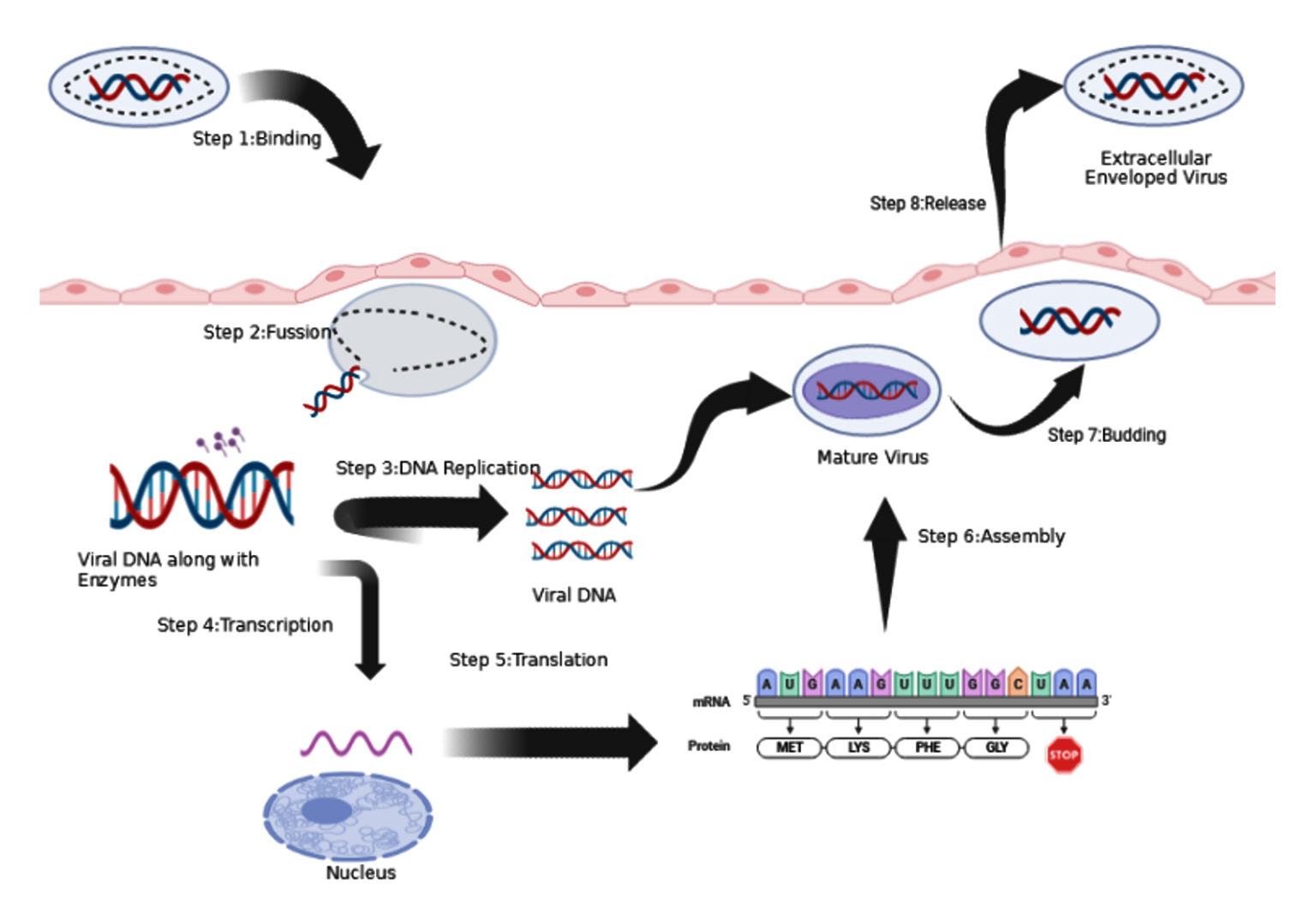 Monkeypox Viruses: Resurgence of Global Threat to Mankind - Journal of ...