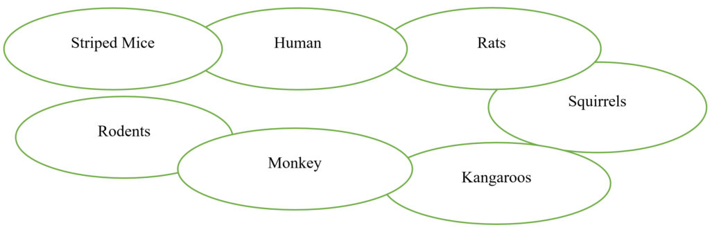 Human-to-Human Transmission of Monkeypox Virus Old Virus with a New ...