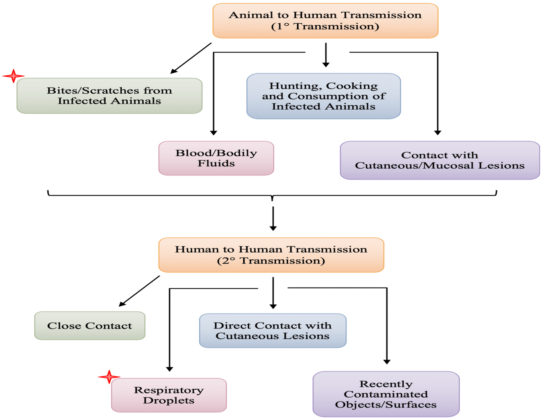 Systematic Review On New Face of Monkeypox Virus – Journal of Pure and ...