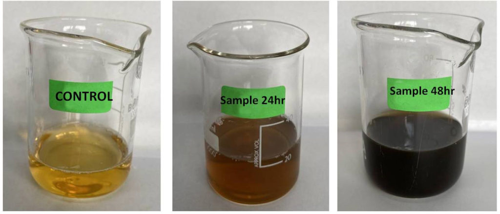Green Synthesis of Copper Nanoparticles and their Activity against Aspergillus chitin ...