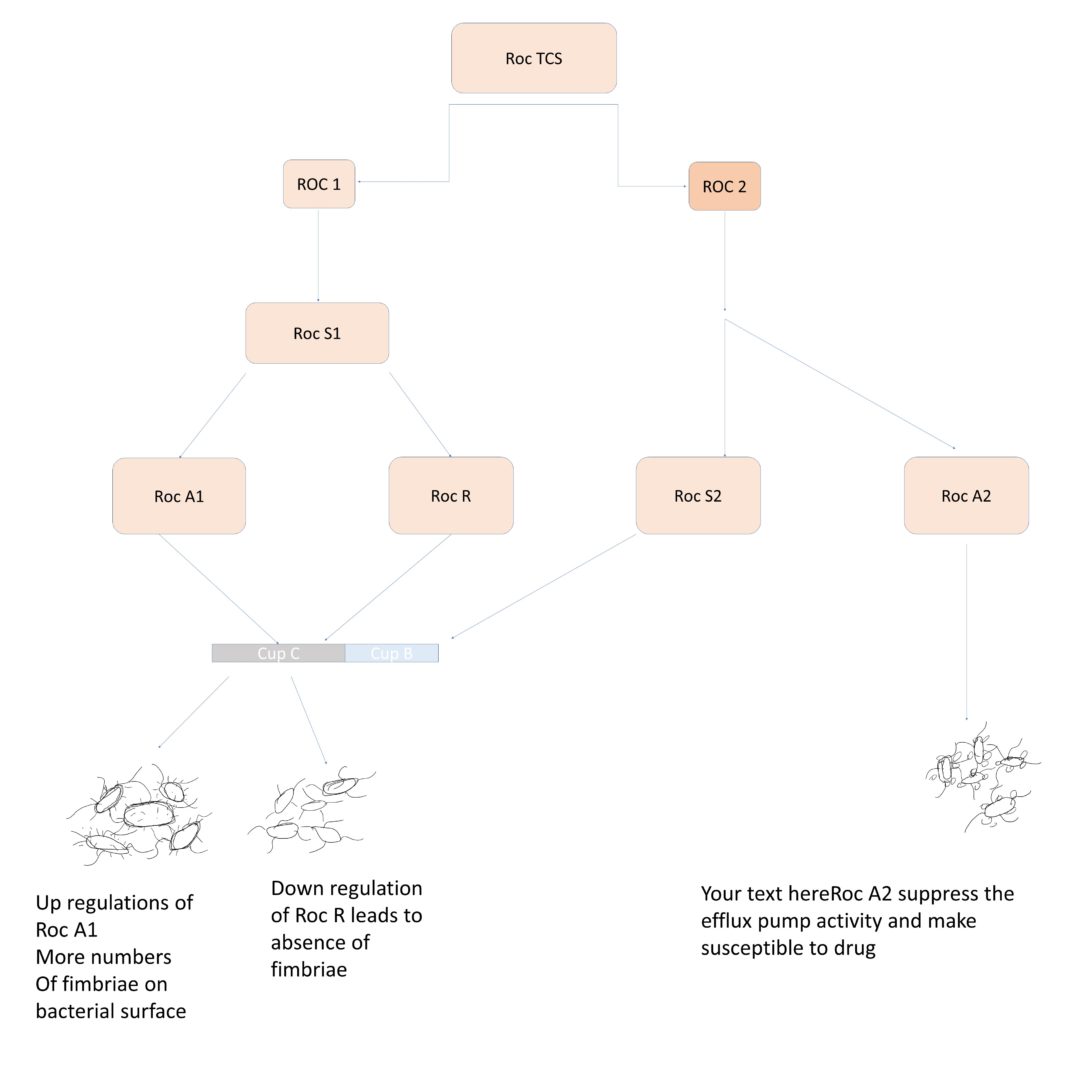Synthetic Biology’s Latest Trends in Antimicrobial Resistance and ...