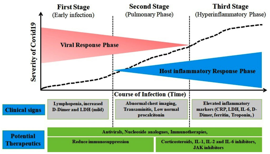 A Comprehensive Mini-review on COVID-19 Pathogenesis on Perspectives of ...