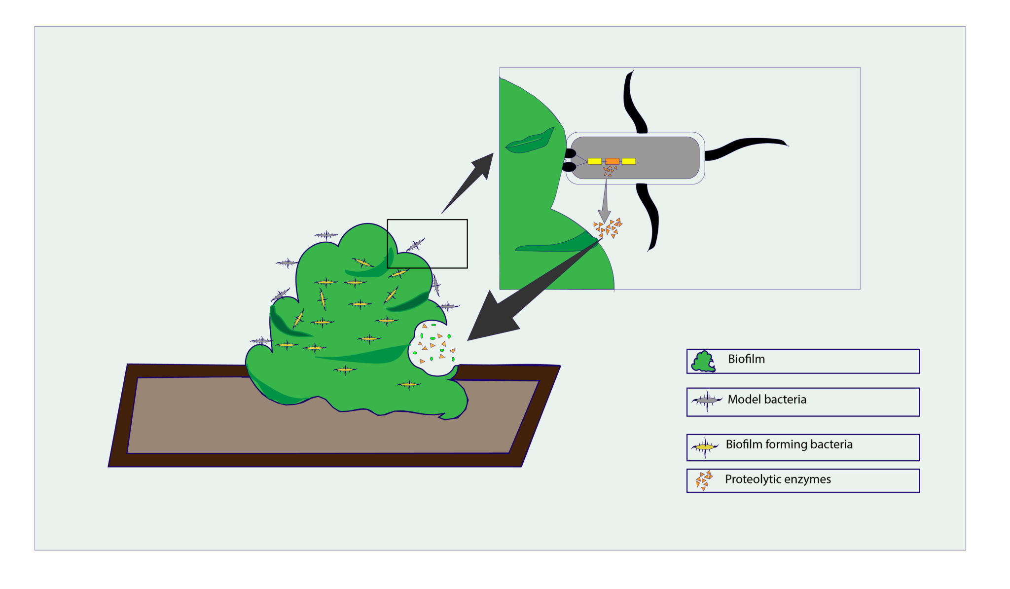 Synthetic Biology’s Latest Trends in Antimicrobial Resistance and ...