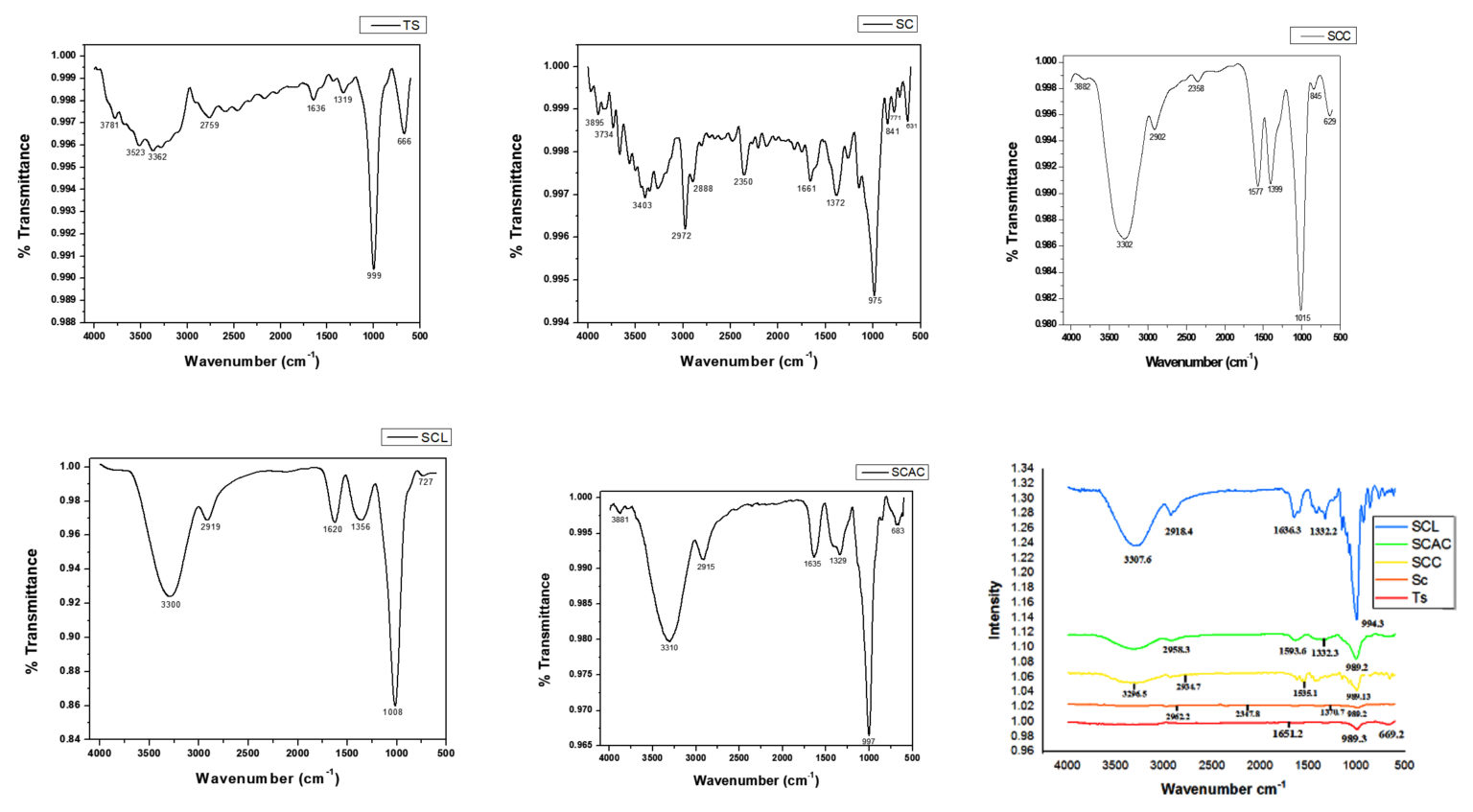 Organic Acids Modified Starch–CMC Based Biodegradable Film ...