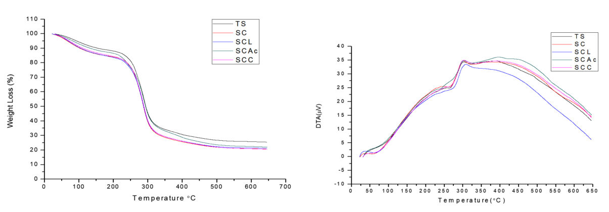 Organic Acids Modified Starch–CMC Based Biodegradable Film ...