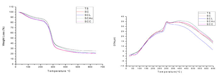 Organic Acids Modified Starch–CMC Based Biodegradable Film ...