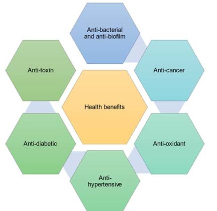 Exopolysaccharides Derived from Probiotic Bacteria and their Health ...