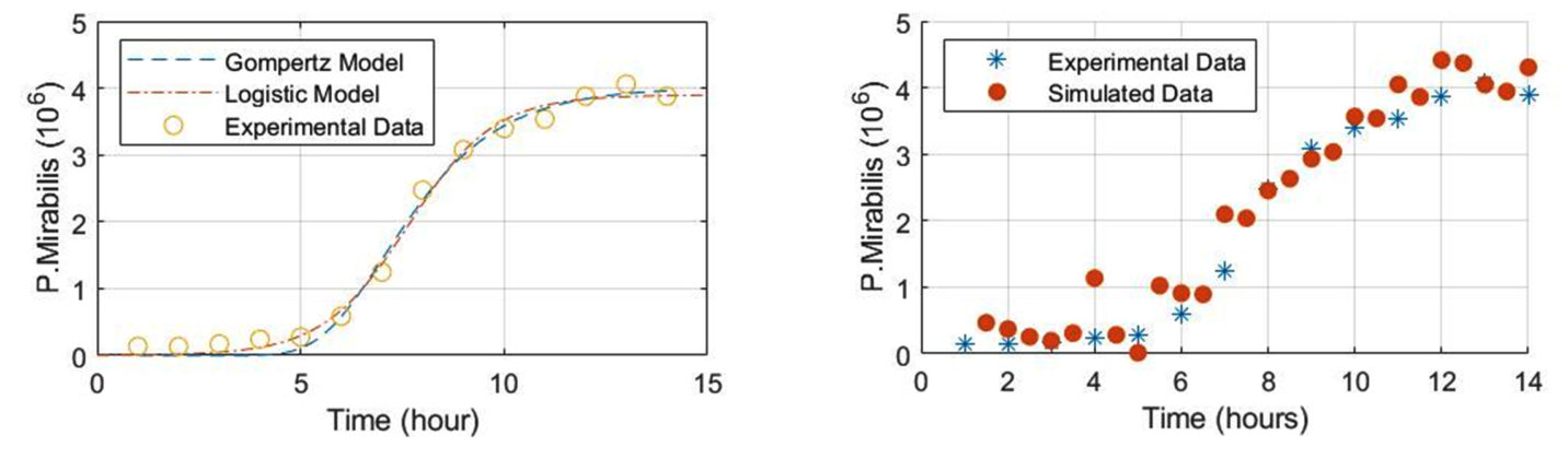 Predicting Single Cell Lag Time and Maximum Specific Growth Rate of ...