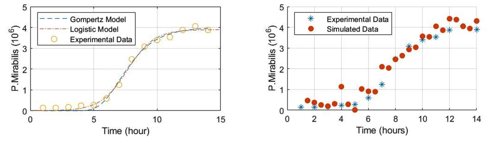 Predicting Single Cell Lag Time and Maximum Specific Growth Rate of Proteus mirabilis using ...