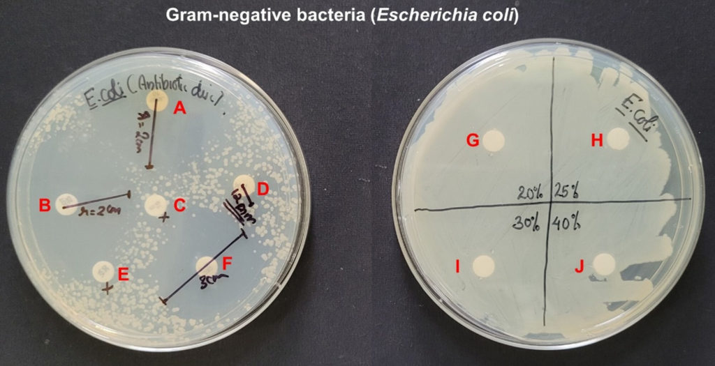 In vitro Antimicrobial Properties of Pluronic F-127 Injectable ...