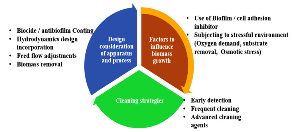 Bioprospecting and Exploration of the Natural Antifouling Approaches ...