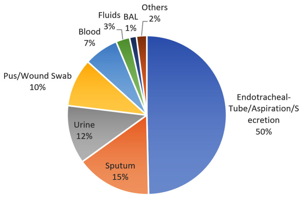 Clinical Profile of Patients and Antibiogram of Acinetobacter baumannii ...