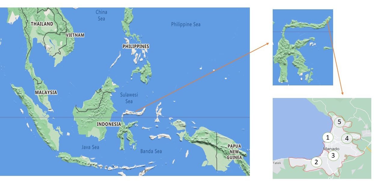 Bacterial Species Associate on the Body Surface of Musca domestica L ...