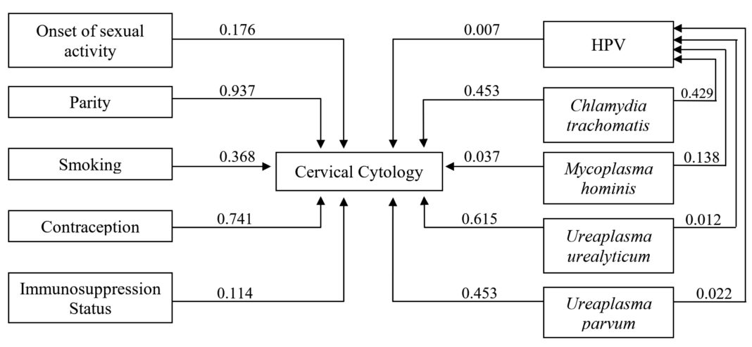 Role of Ureaplasma urealyticum and Ureaplasma parvum as Risk Factors ...