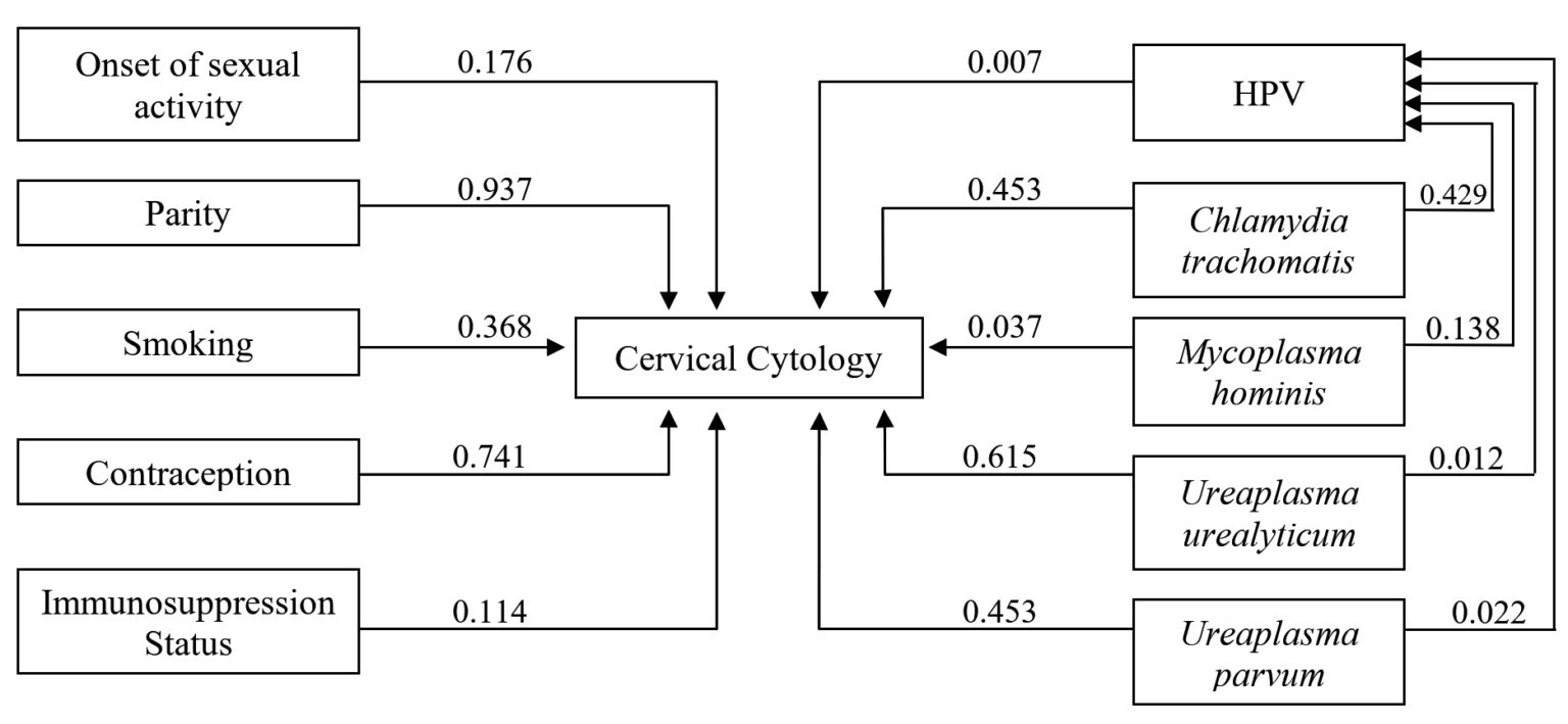 Role of Ureaplasma urealyticum and Ureaplasma parvum as Risk Factors ...