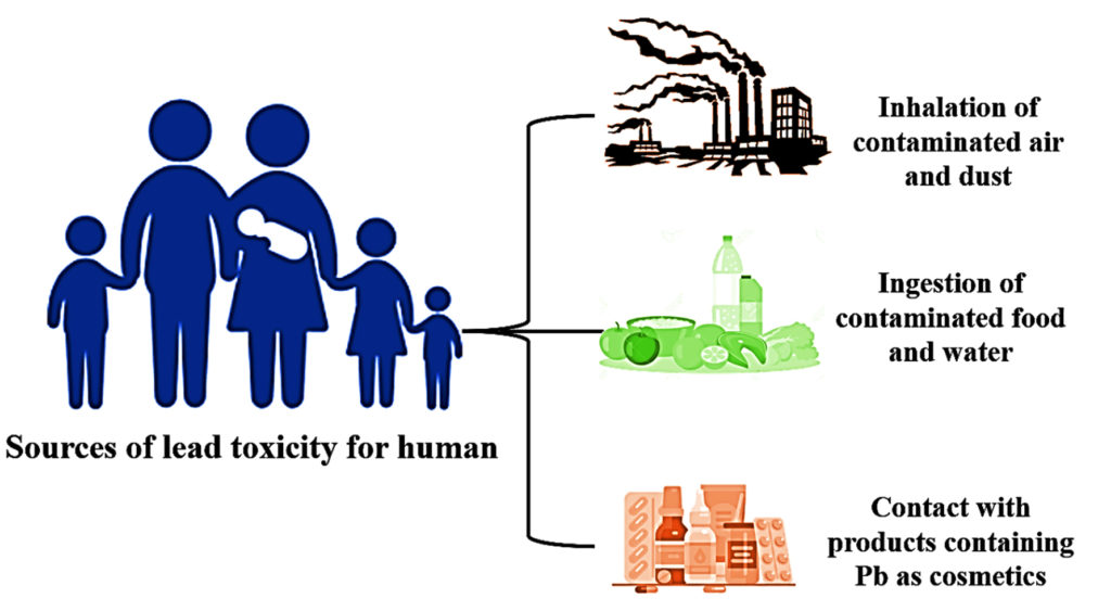 Lead: Natural Occurrence, Toxicity to Organisms and Bioremediation by ...