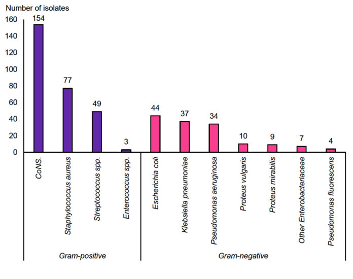 Bacteriological Profile and Antibiotic Resistance Patterns of Pus/Wound ...