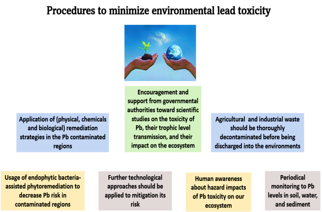 Lead: Natural Occurrence, Toxicity to Organisms and Bioremediation by ...