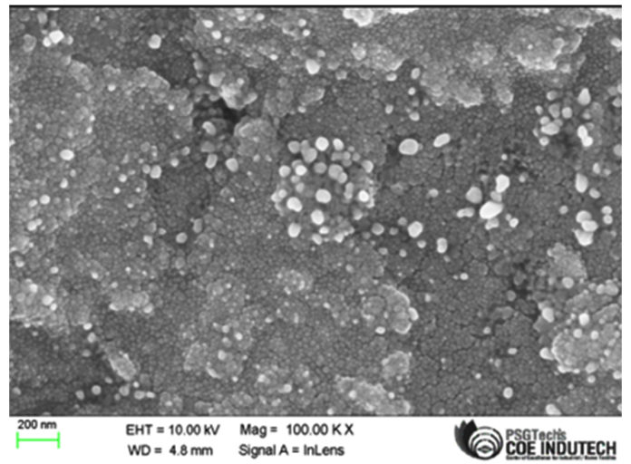 Evaluating the Antibacterial Profile of Copper Oxide Nanoparticles ...