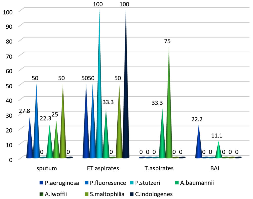 Characterization and Antimicrobial Susceptibility Pattern of Non ...