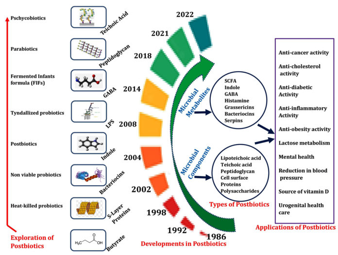 A Critical Analysis of Postbiotics: Exploring their Potential Impact on ...