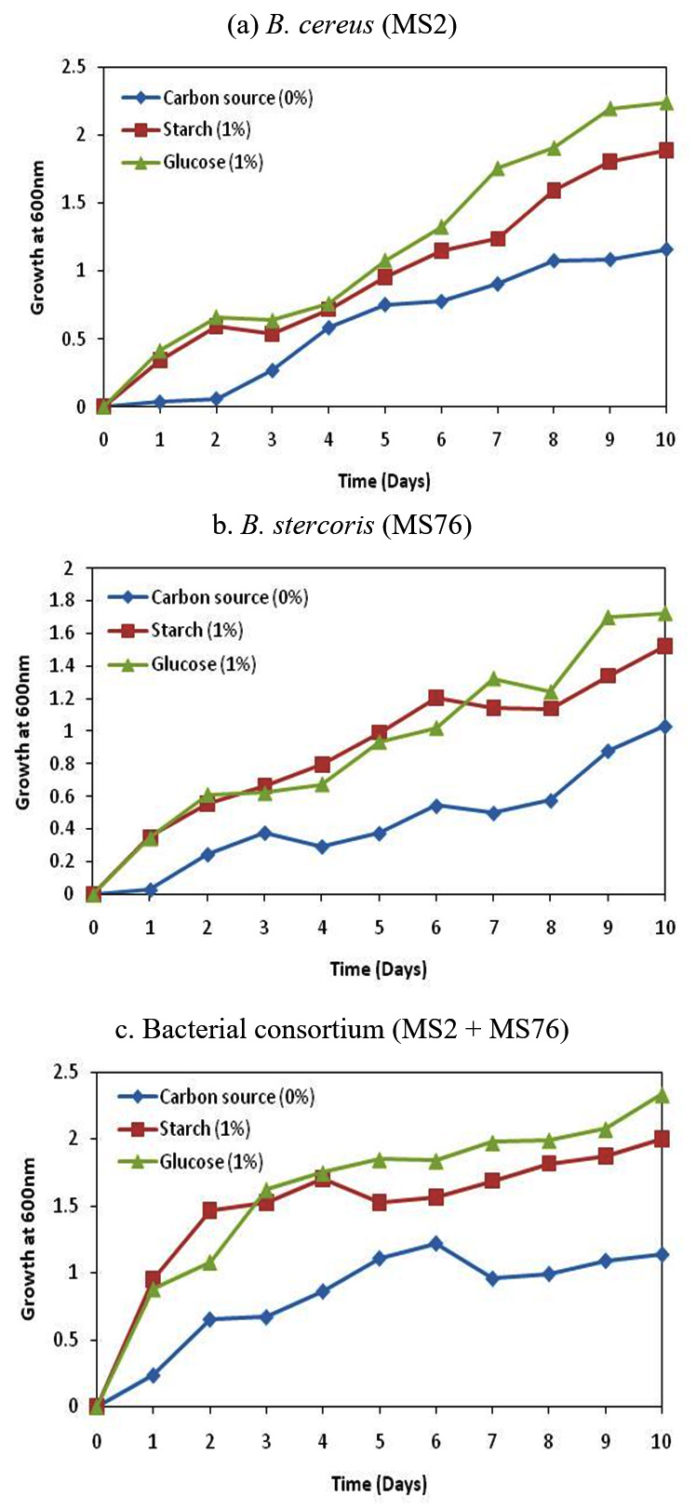 Bioextraction of Magnesium as Plant Minerals from Magnesite Mine Wastes ...