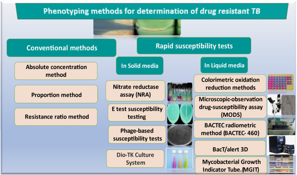 Tuberculosis Diagnosis and Detection of Drug Resistance: A ...