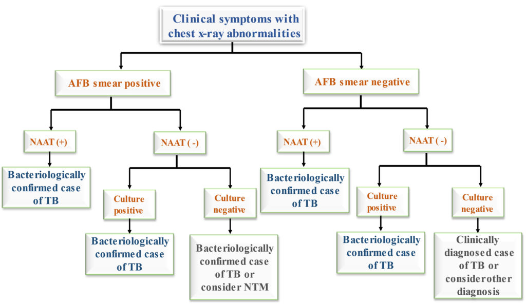 Tuberculosis Diagnosis and Detection of Drug Resistance: A Comprehensive Updated Review ...