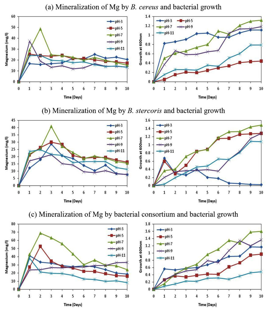 Bioextraction of Magnesium as Plant Minerals from Magnesite Mine Wastes ...