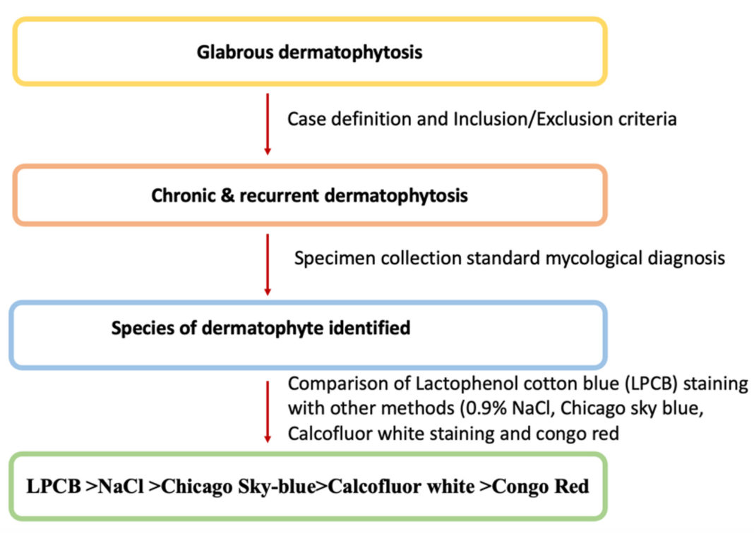 Clinical and Mycological Characterization of Chronic and Recurrent ...