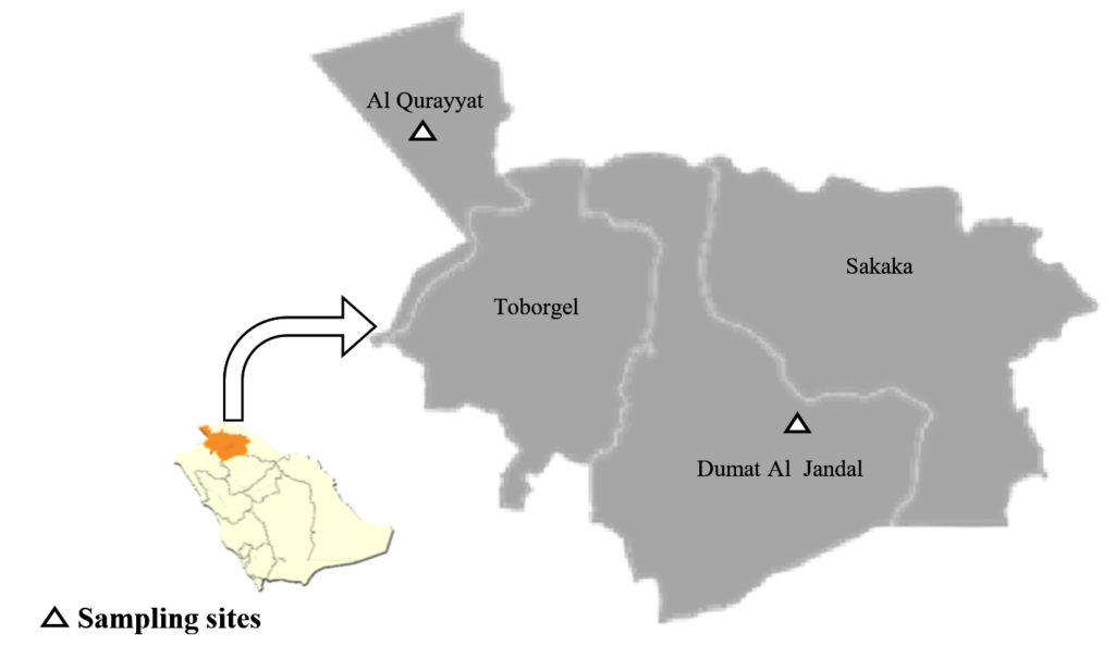 Characterization and Identification of Thermophilic Bacteria Isolated ...