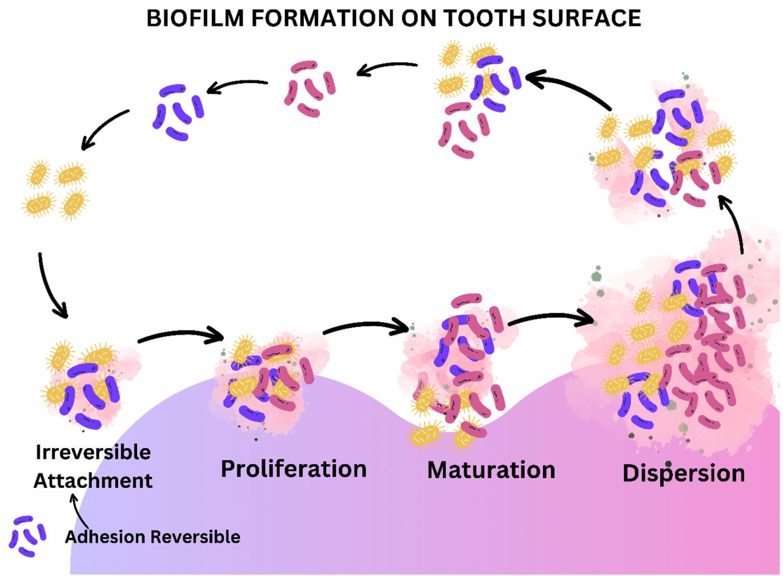 Bioprospecting and Exploration of Phytochemicals as Quorum Sensing ...