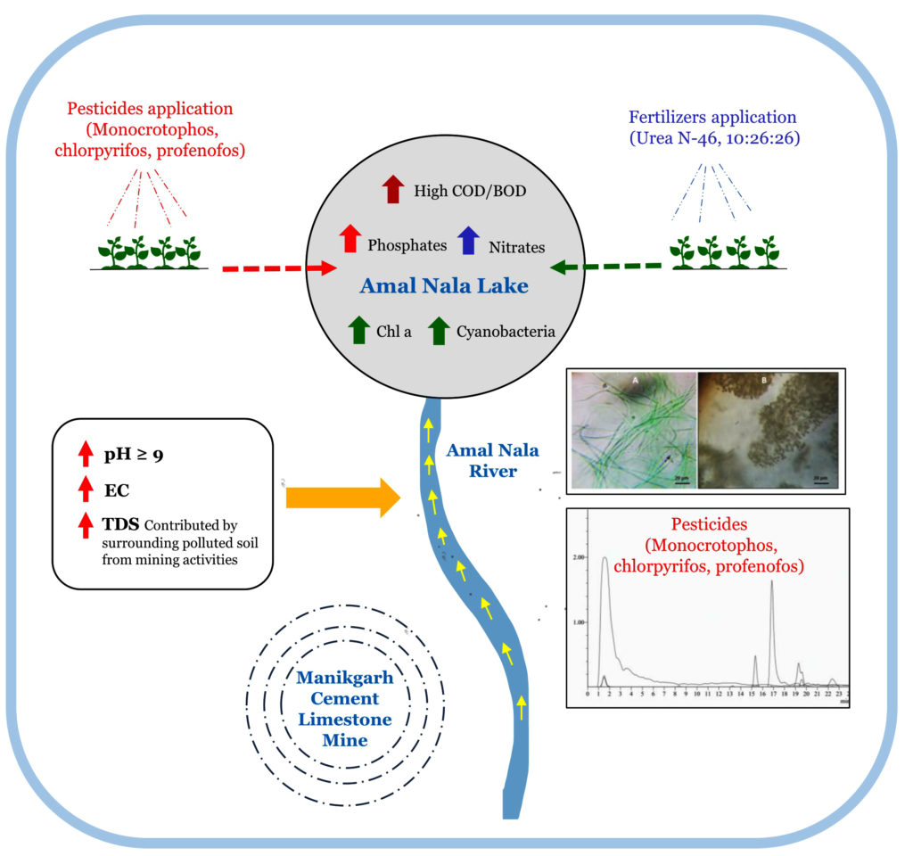 Impacts of Agricultural Practices (Pesticides and Fertilizers) and ...