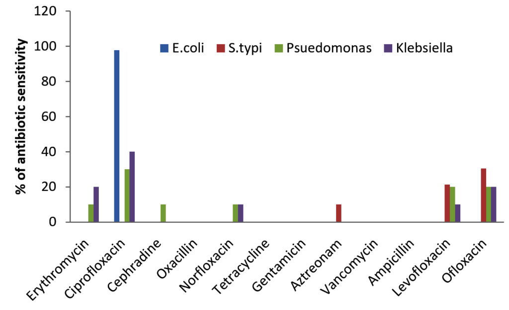 Microbial Profile and Antibiotic Susceptibility Pattern of Frozen Food ...