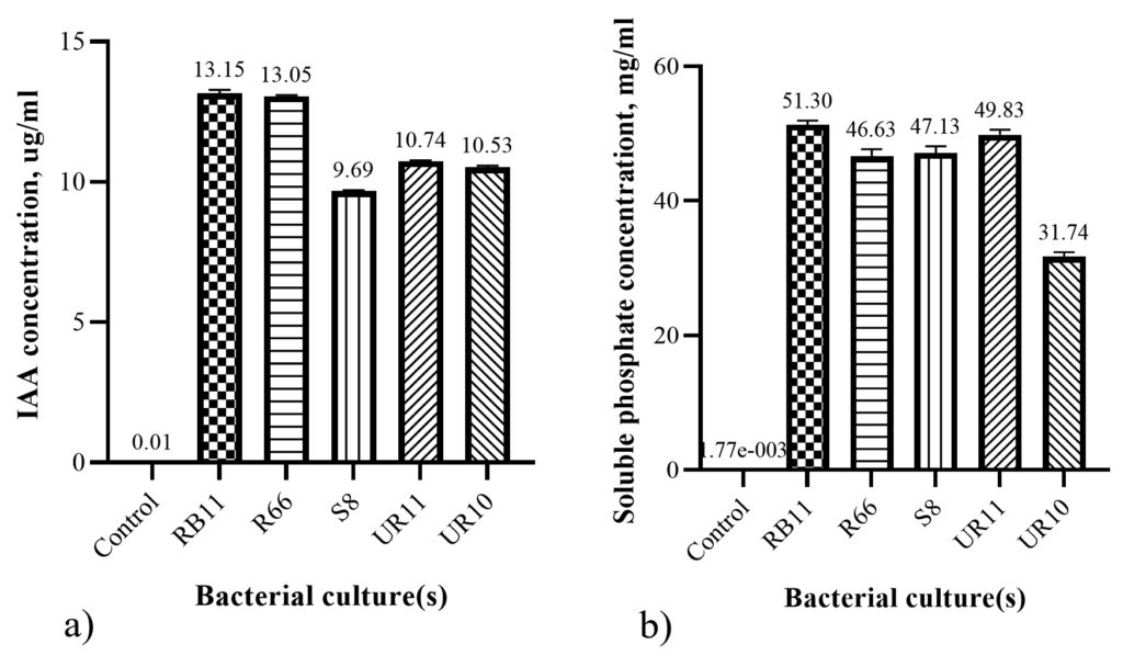 Effectiveness of the Drought-tolerant Plant Growth Promoting ...
