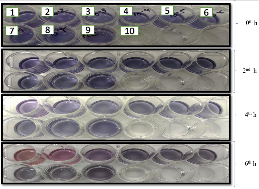 A QuEChERS Cyanin based Chromogenic Method for the Sensitive ...