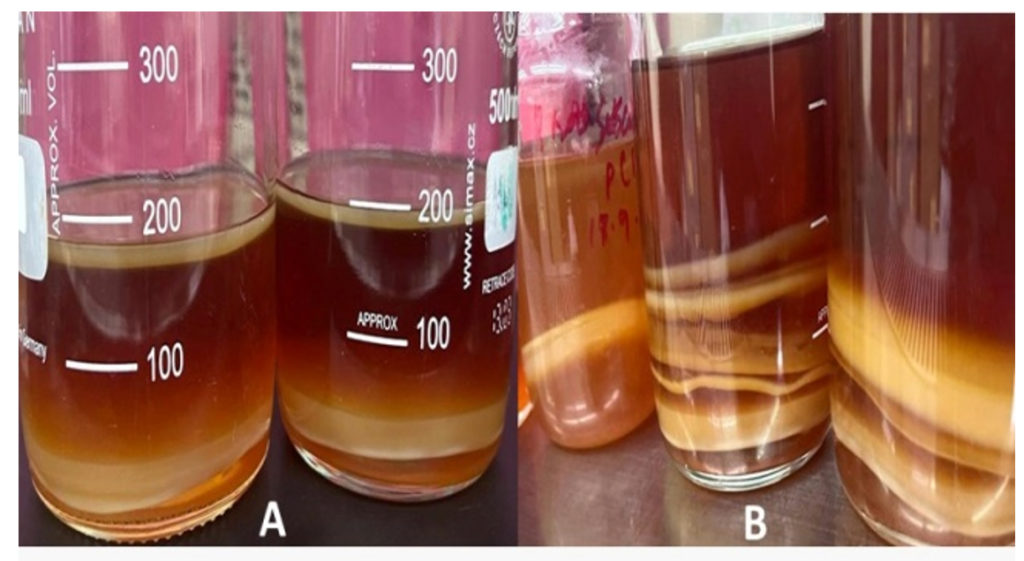 Identification of Cellulose Producing Bacterial Strains: An Eco ...