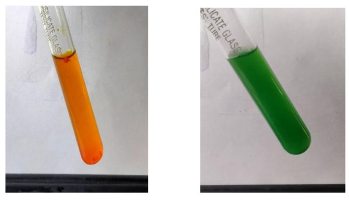 Bioethanol Production from Water Hyacinth (Eichhornia crassipes) using ...