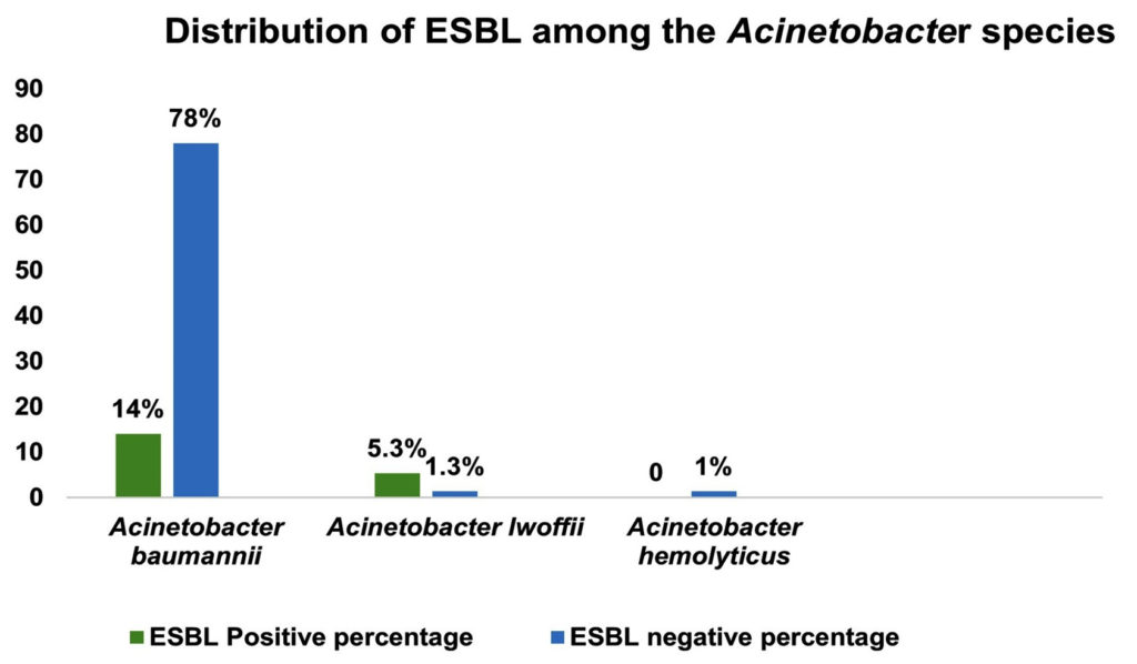 Prevalence of Extended-spectrum Beta-lactamase (ESBL), Metallo Beta ...