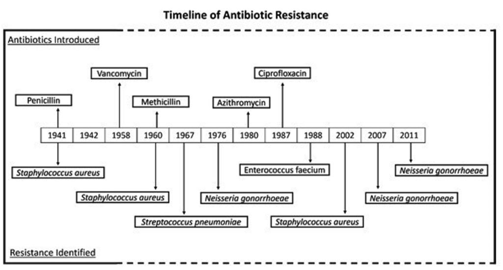 Antimicrobial Resistance: Techniques to Fight AMR in Bacteria – A ...