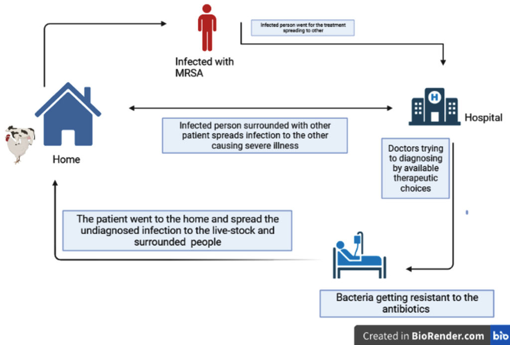 Prominent Classes of Antibiotics and their Mechanism of Resistance ...